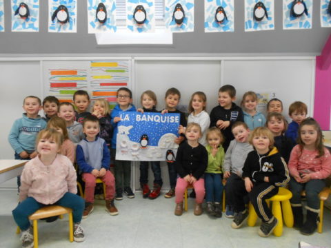 Les pingouins sur la banquise | Ecole Sainte-Anne Plélo